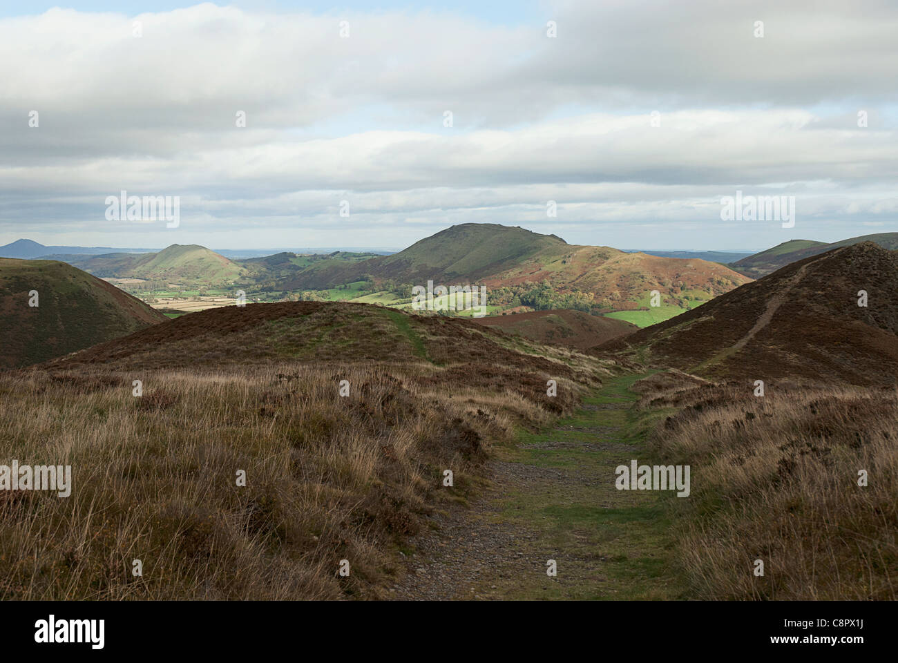 Great Britain, England, Shropshire, Long Mynd, countryside views Stock ...