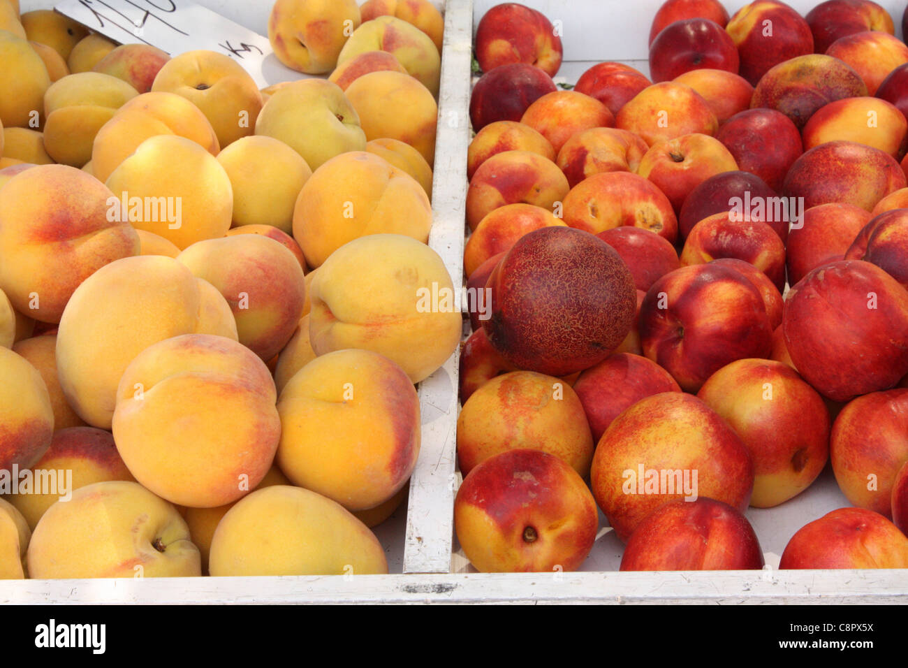 Spain, peaches and nectarines Stock Photo - Alamy
