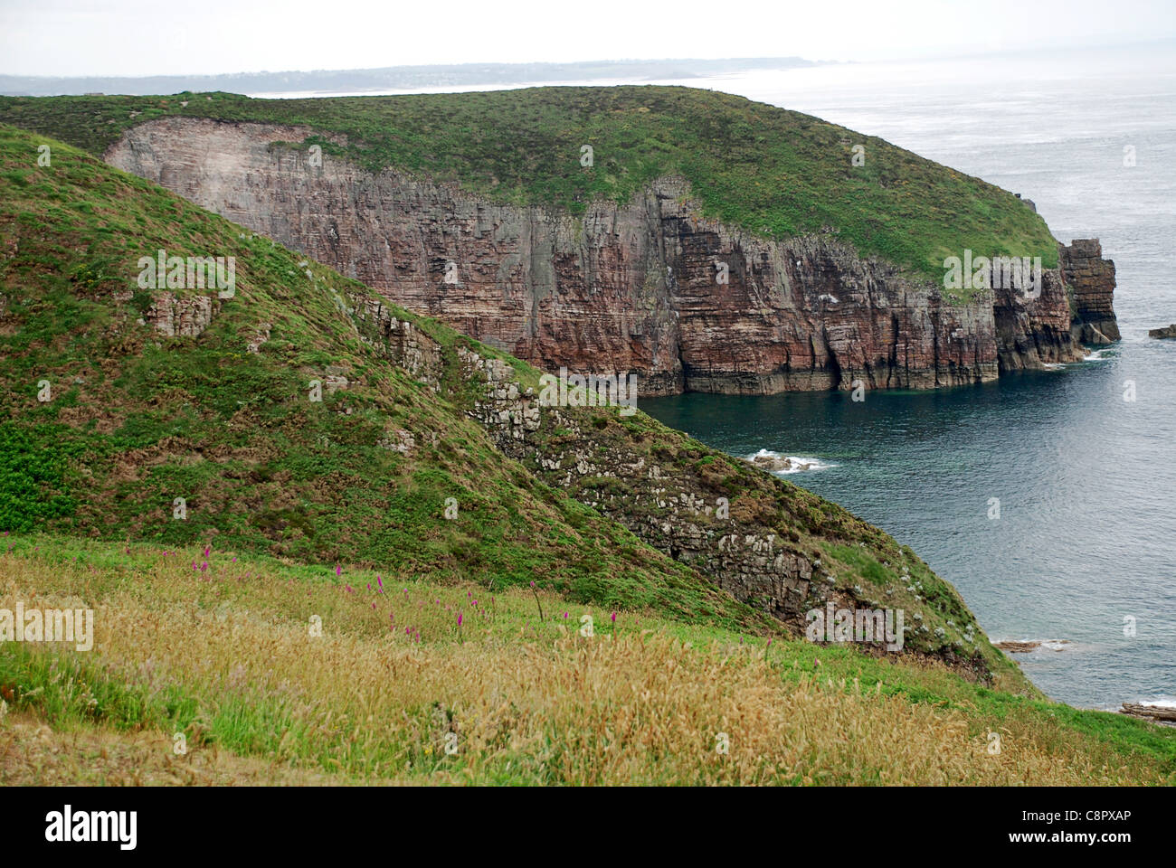 Brittany cliffs nature hi-res stock photography and images - Alamy