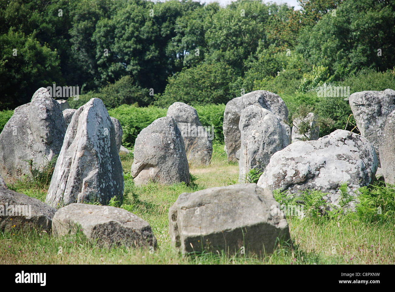 Standing Stones In Brittany