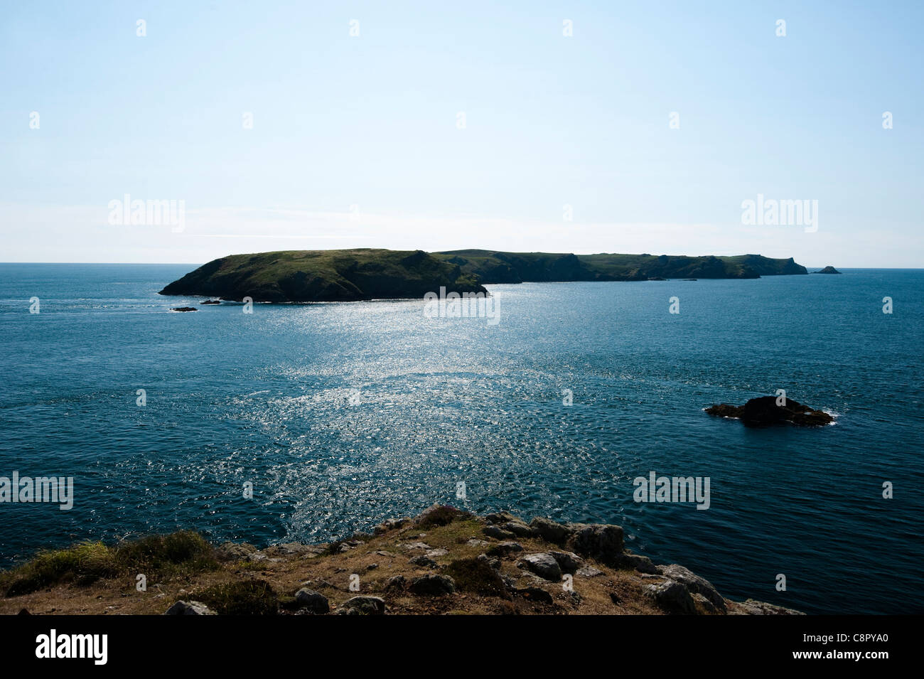 From wooltack point hi-res stock photography and images - Alamy