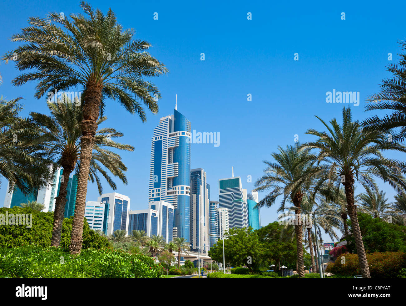 Dubai palm trees hi-res stock photography and images - Alamy