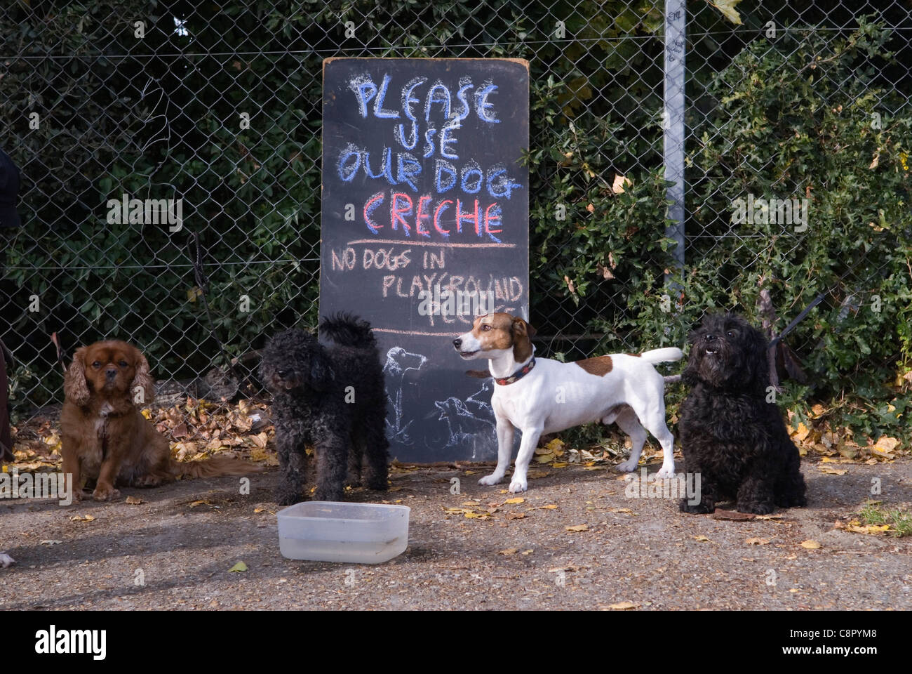 Dog Creche High Resolution Stock Photography and Images - Alamy