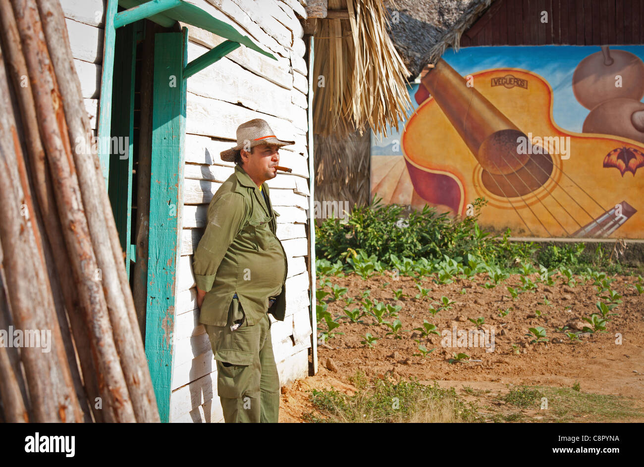 Cuban man smoking a cigar in pinar del rio hi-res stock photography and ...