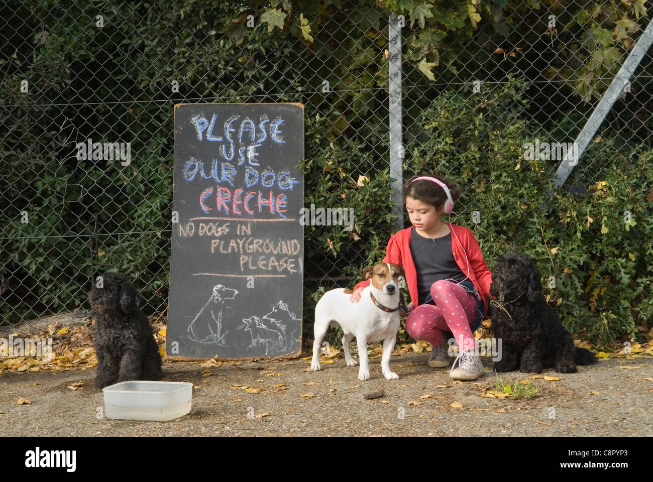 Dog creche hi-res stock photography and images - Alamy