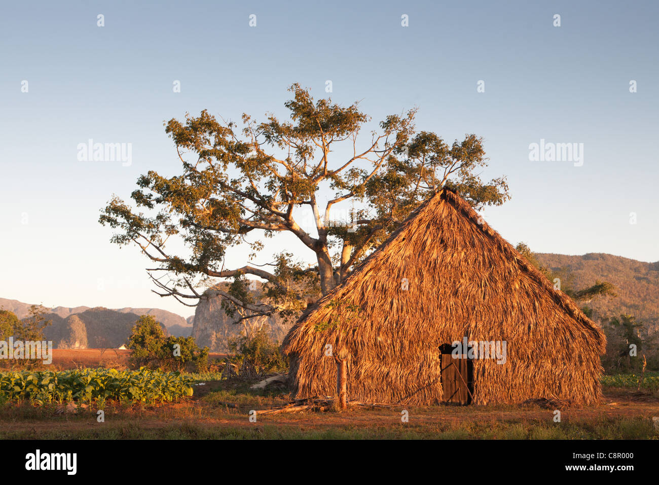Farming agriculture drying shed communism hi-res stock photography and ...