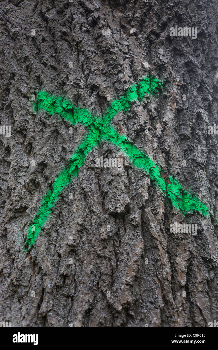 X mark tree hi-res stock photography and images - Alamy