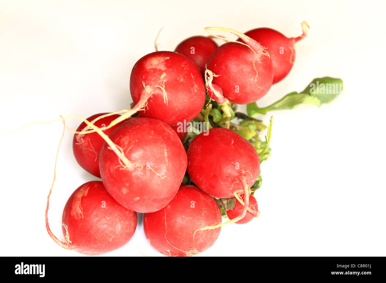 Radishes on a white background Stock Photo - Alamy