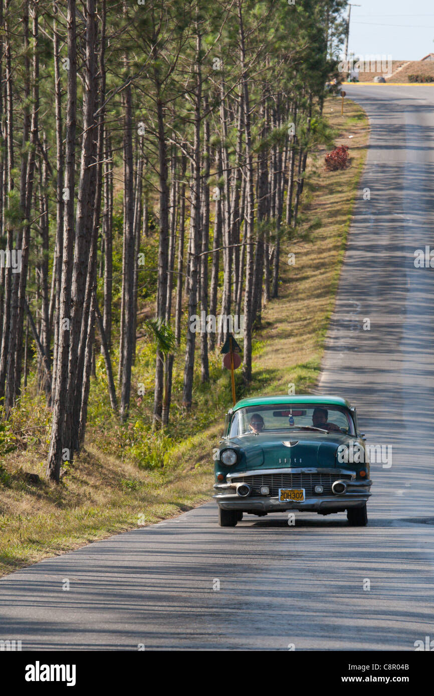 PINAR DEL RIO: CLASSIC VINTAGE AMERICAN CAR ON TREE LINED ROAD IN THE ...