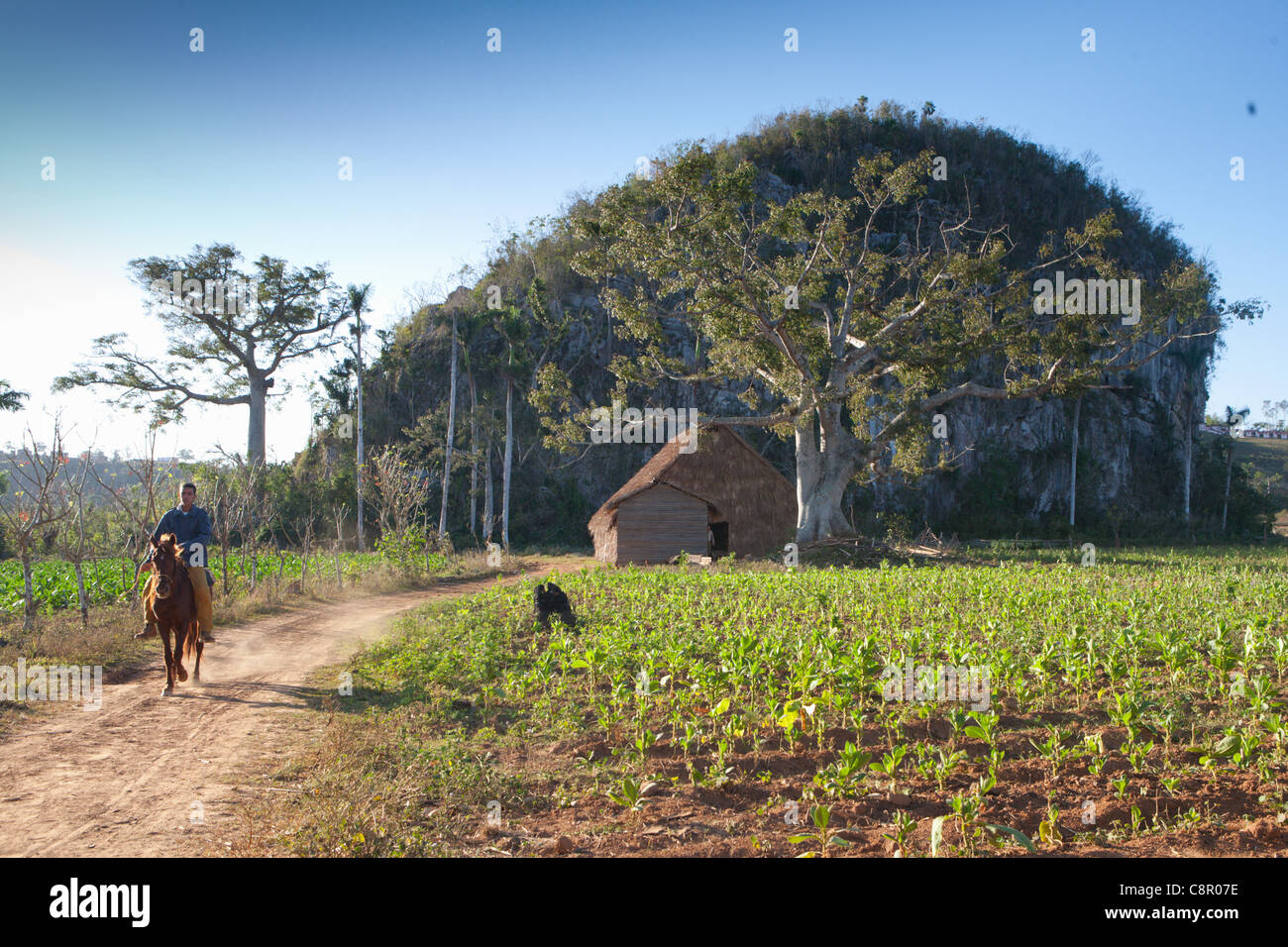Farmer riding a horse hi-res stock photography and images - Alamy