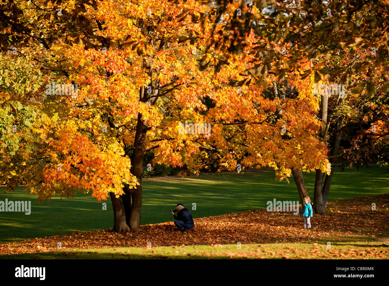 Rheinaue hi-res stock photography and images - Alamy