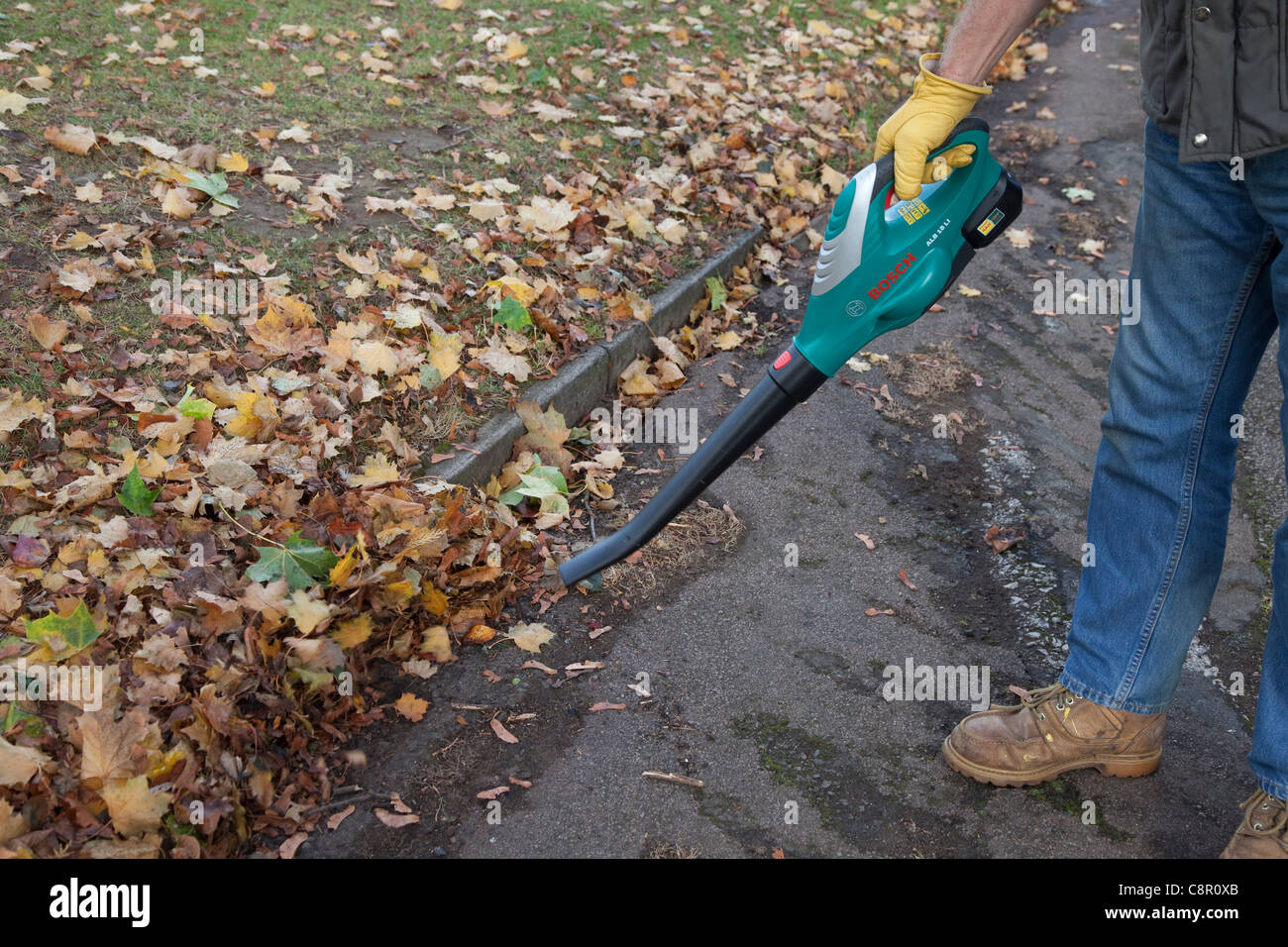 Clearing autumn leaves UK Stock Photo - Alamy