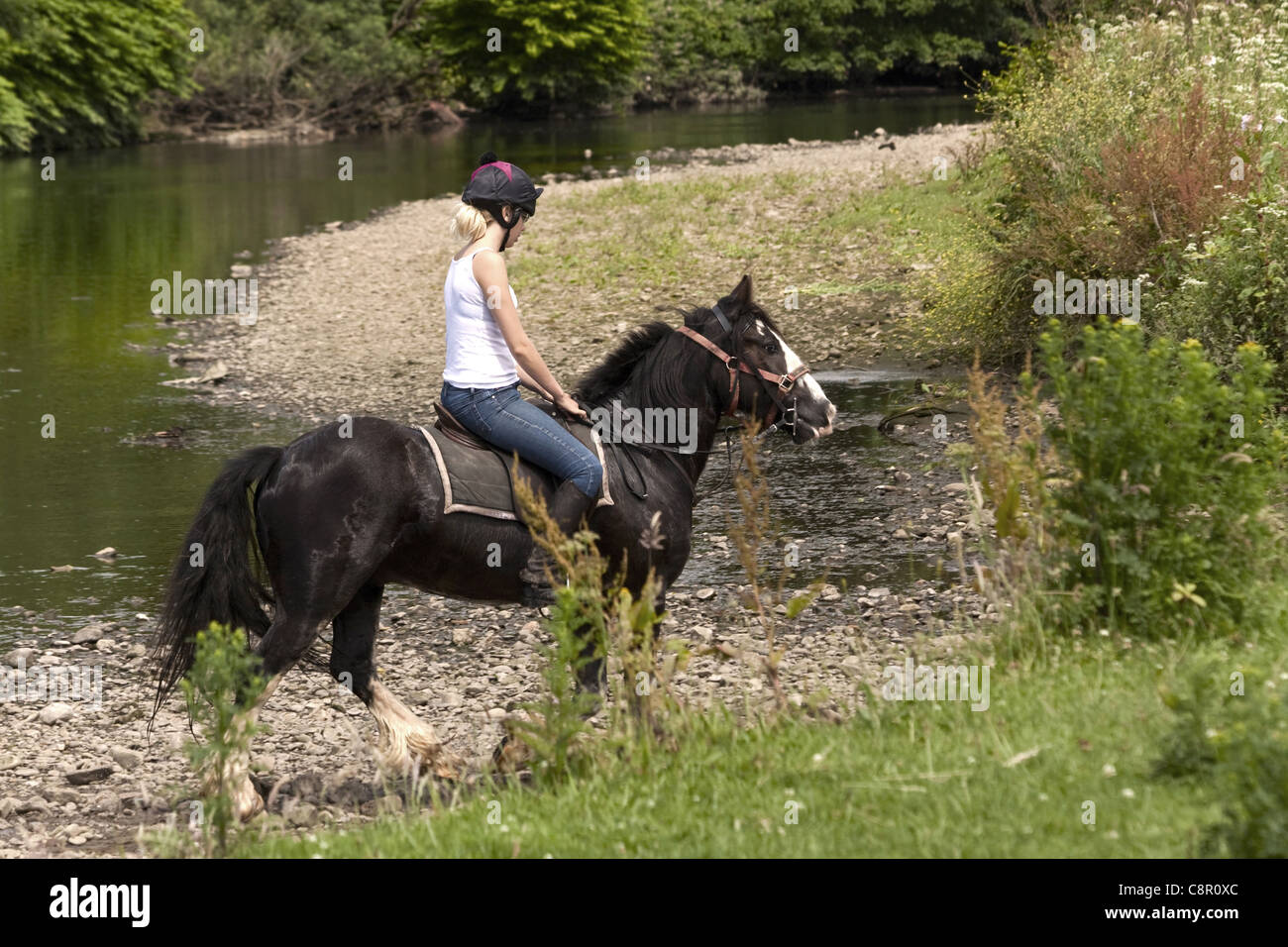Woman horse rider crossing river hi-res stock photography and images ...