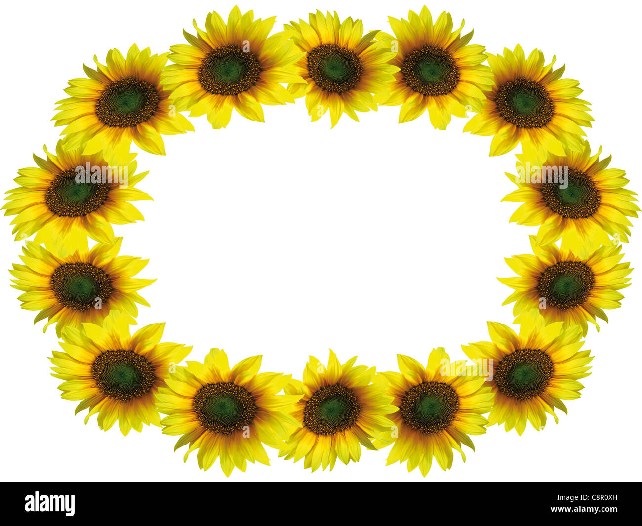 Sunflowers frame text flower hi-res stock photography and images - Alamy