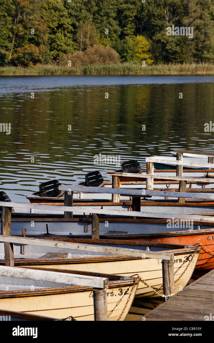 Recreational rowing boats moored at a landing on lake Schlachtensee in ...