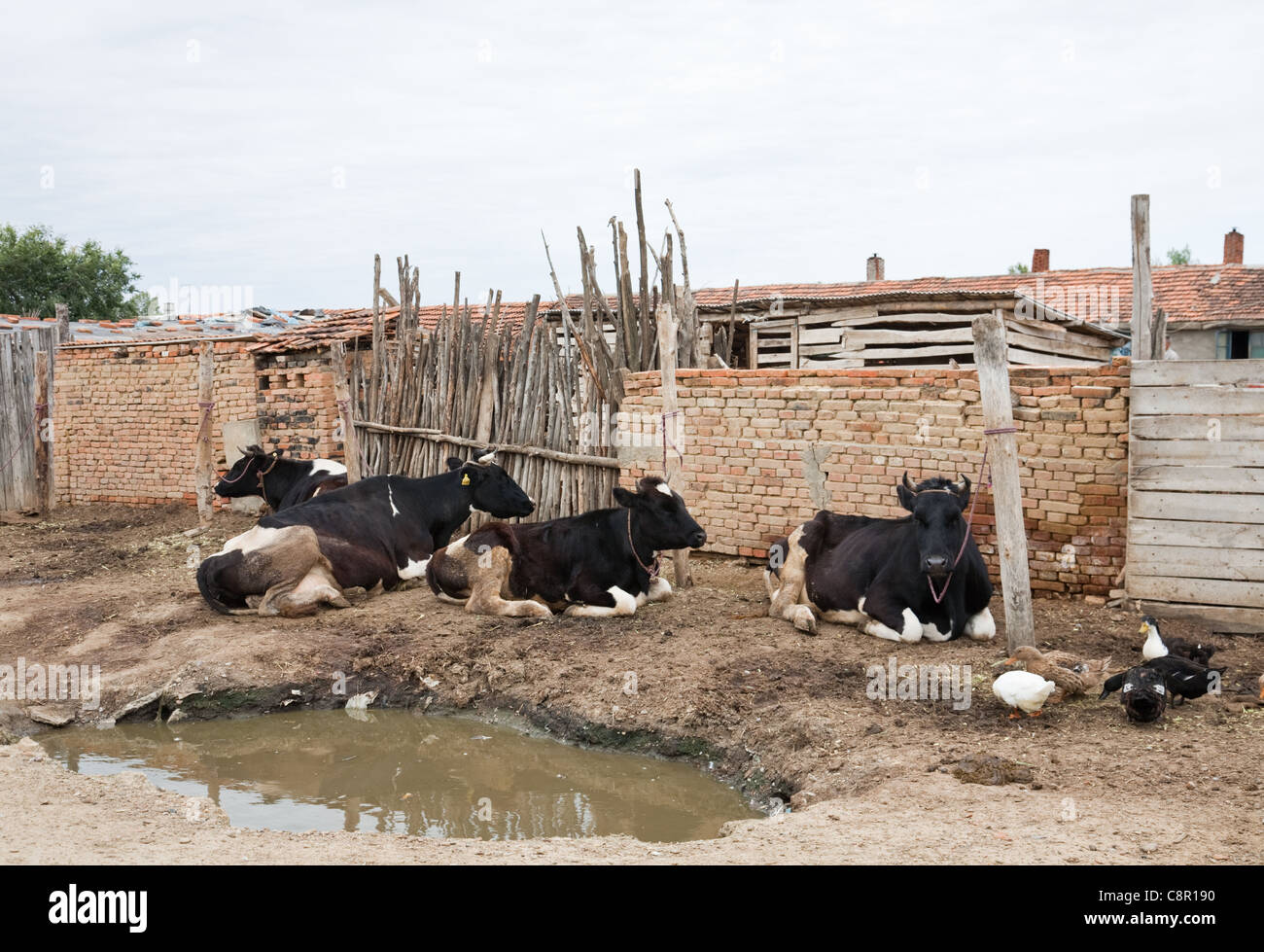 Rural poor poverty hi-res stock photography and images - Alamy