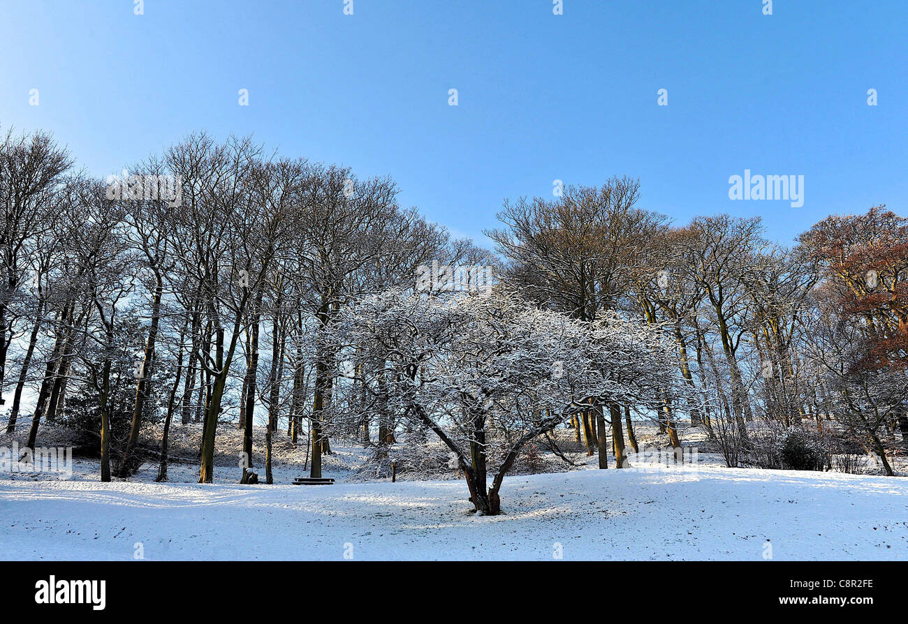 Crisp clear weather hi-res stock photography and images - Alamy