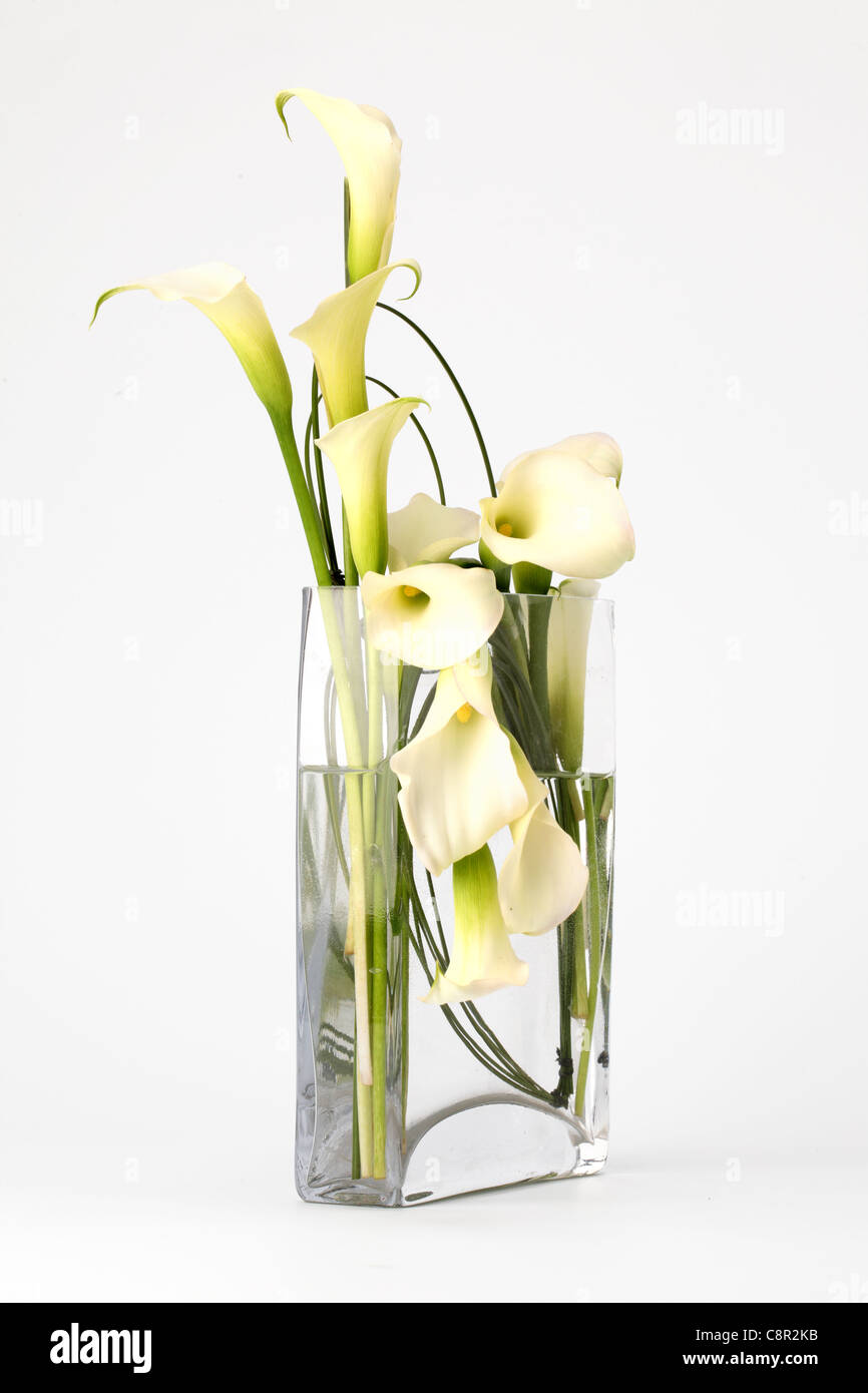 White lilies bouquet hi-res stock photography and images - Alamy
