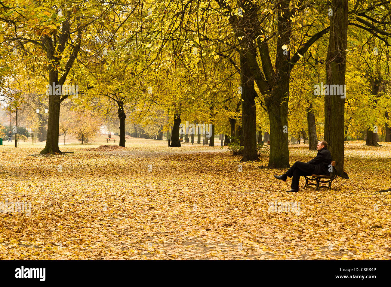Autumn in the park. A man resting on the bench Stock Photo - Alamy