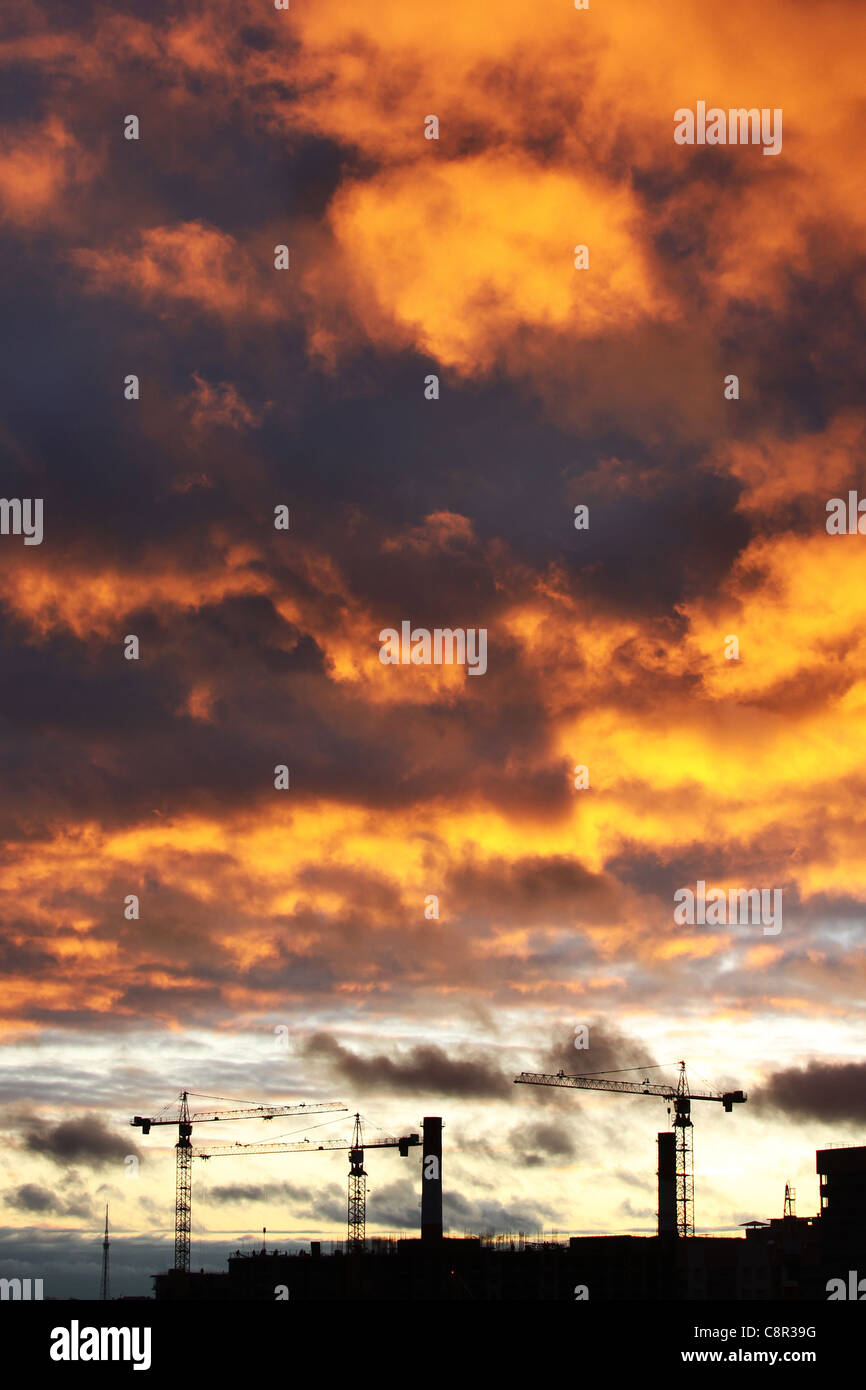 A beautiful sunset with cranes Stock Photo - Alamy