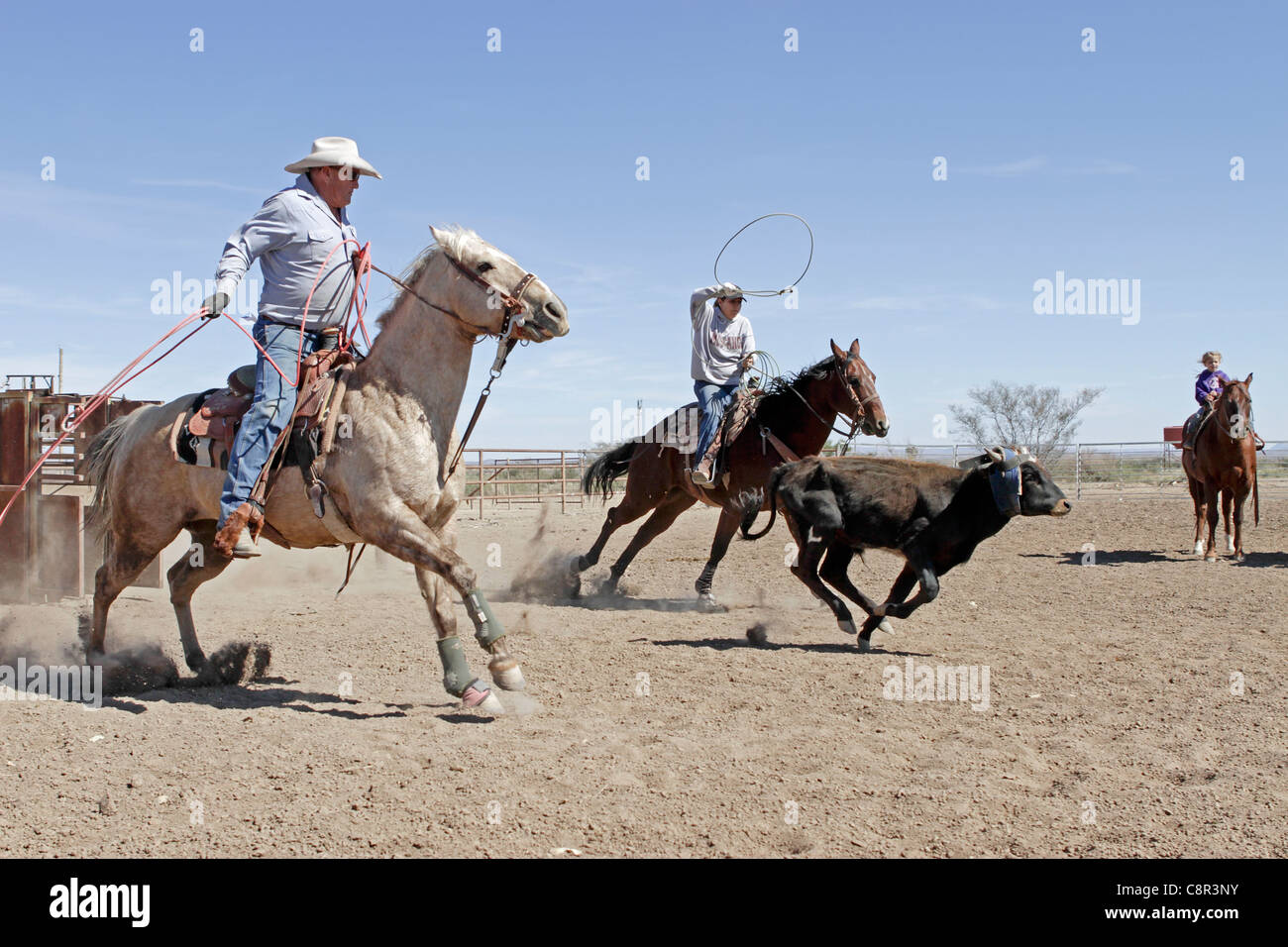 Family and friends team roping on a West Texas Ranch Stock Photo - Alamy