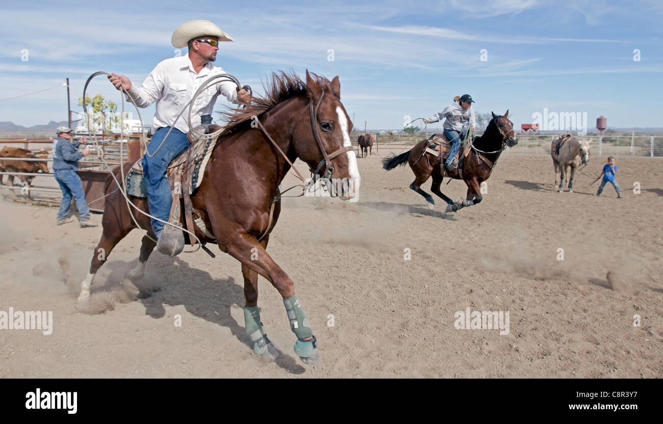 Family and friends team roping on a West Texas Ranch Stock Photo - Alamy