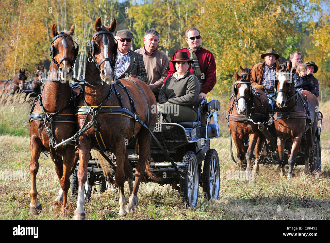 Hunting carriages hi-res stock photography and images - Alamy