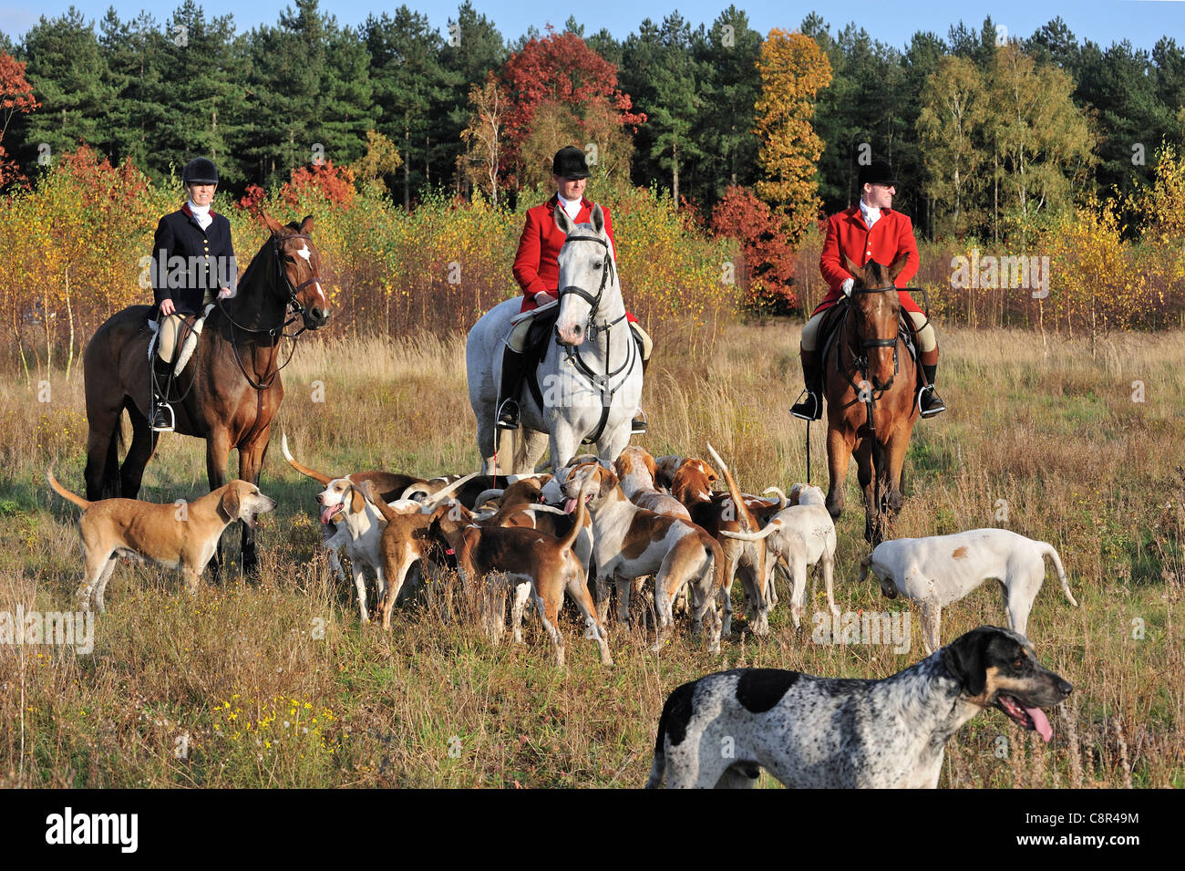Fox Hunters Stock Photos & Fox Hunters Stock Images - Alamy