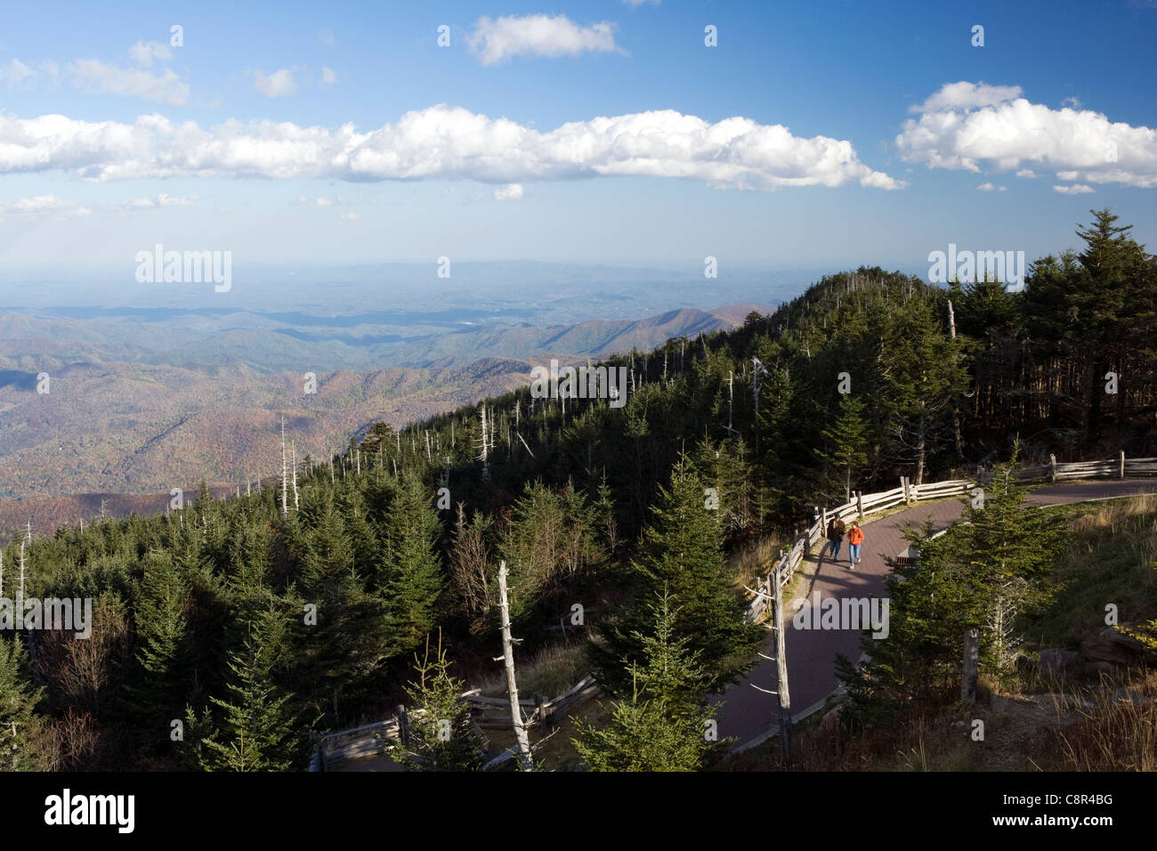Mount Mitchell Summit