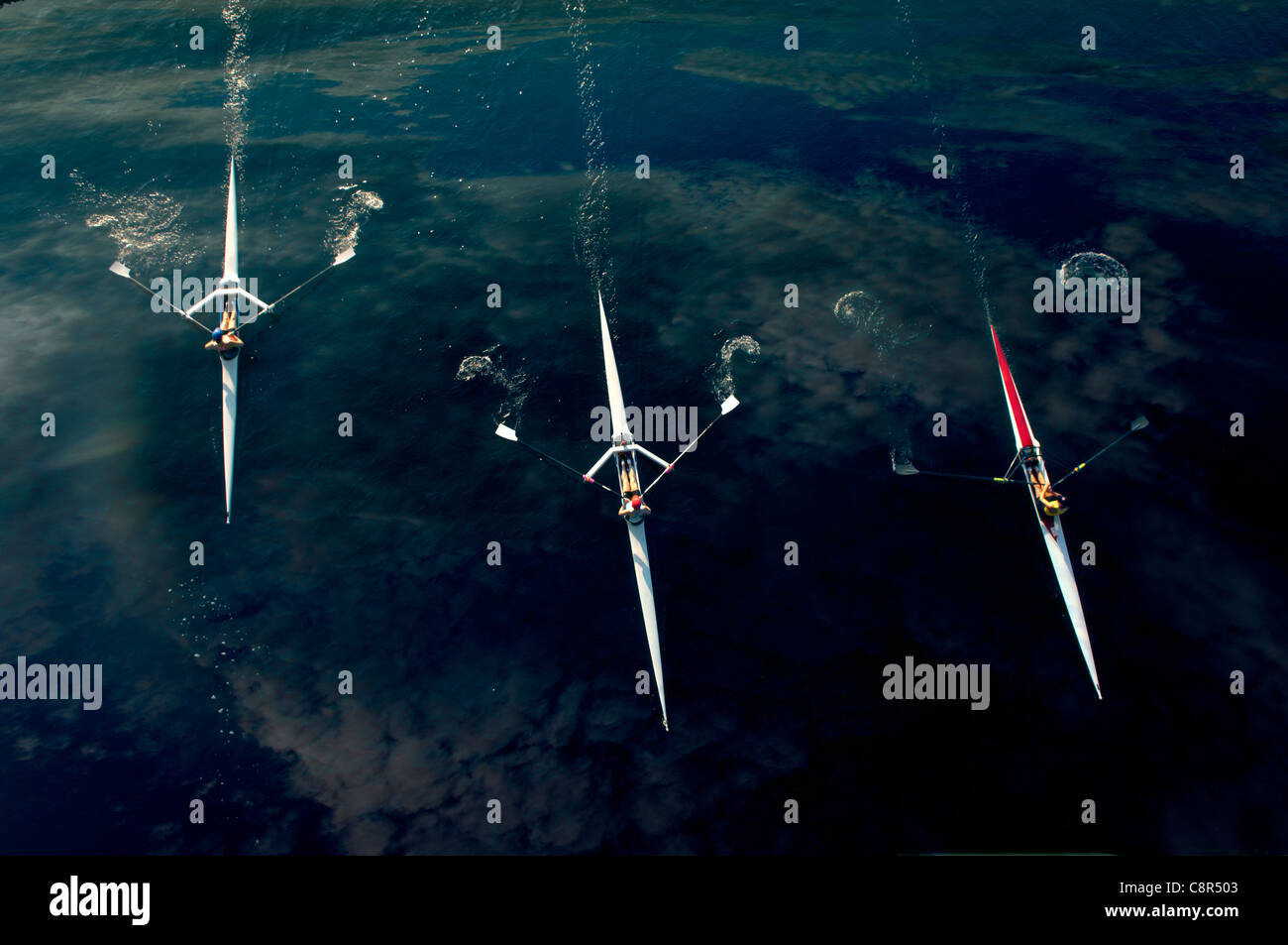People rowing sculling boats on river Stock Photo - Alamy