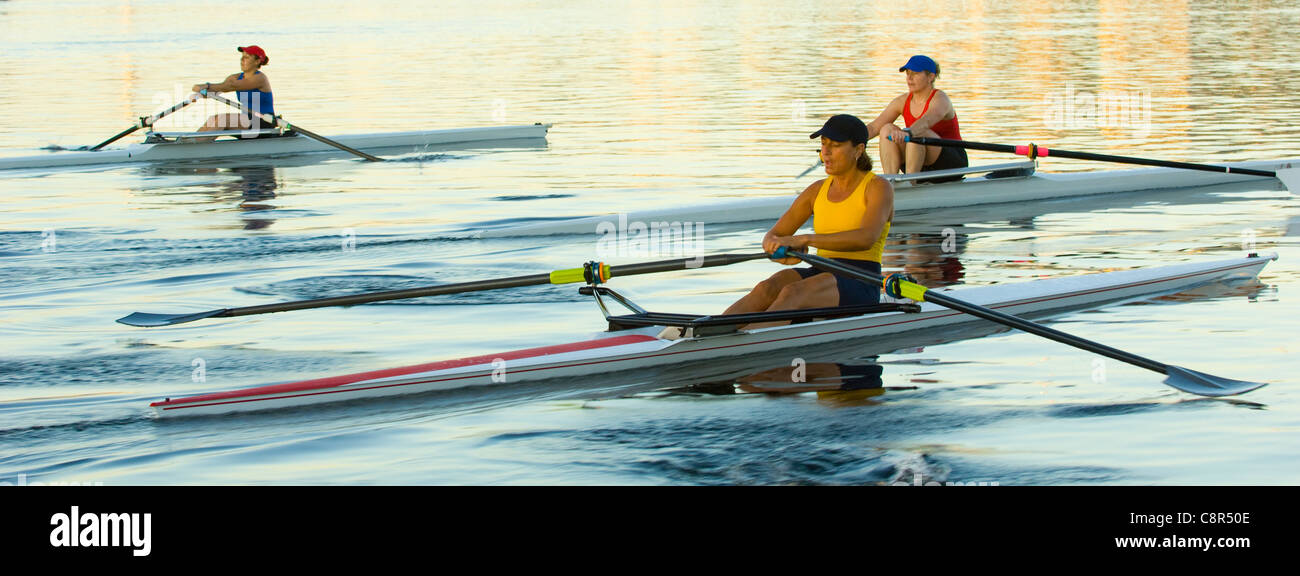 People rowing sculling boats on river Stock Photo - Alamy