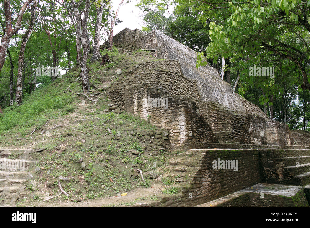 Main temple pyramid from the Audiencia, Cahal Pech mayan ruins, near ...