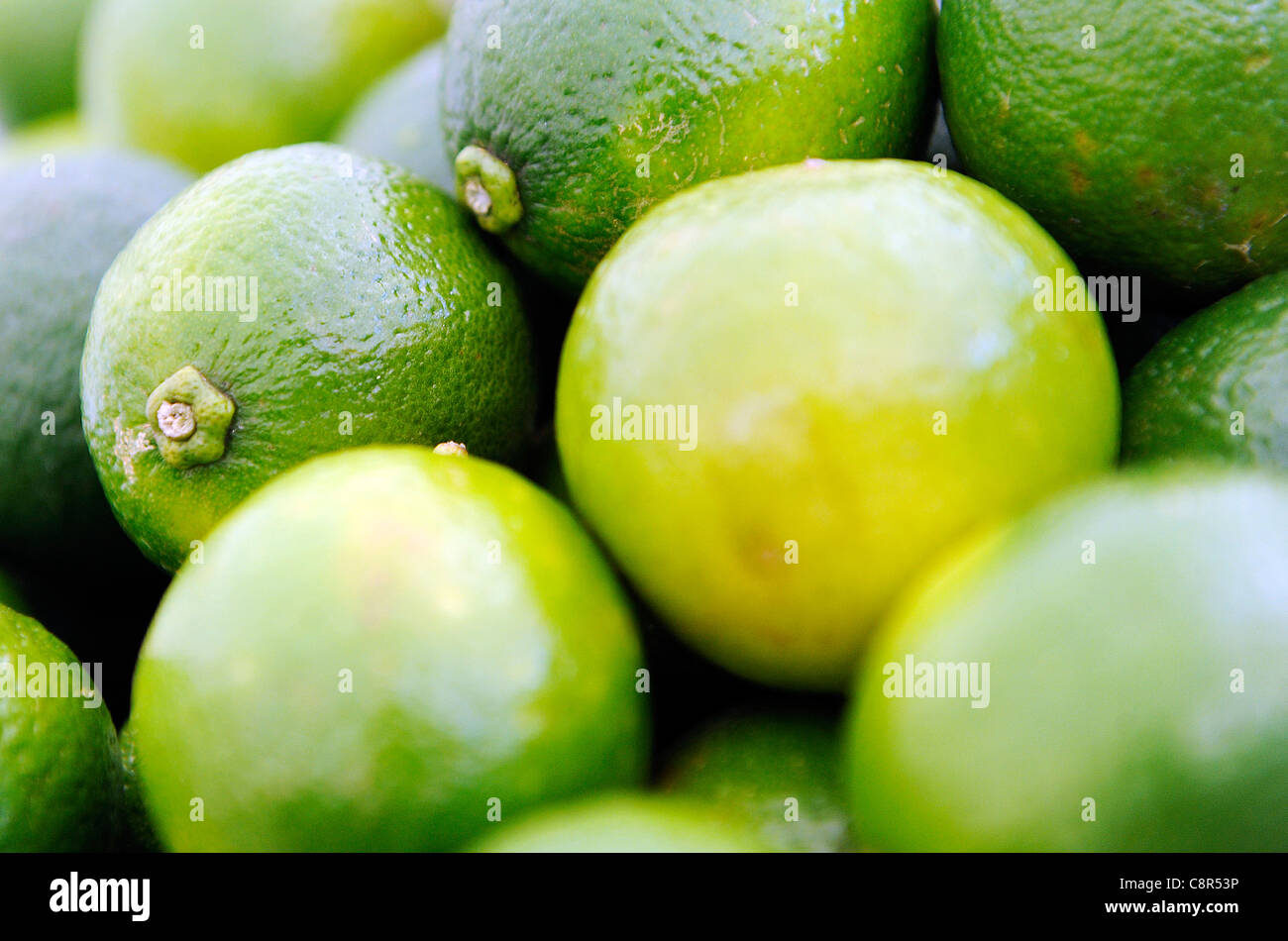 Fresh green ripe lime hi-res stock photography and images - Alamy