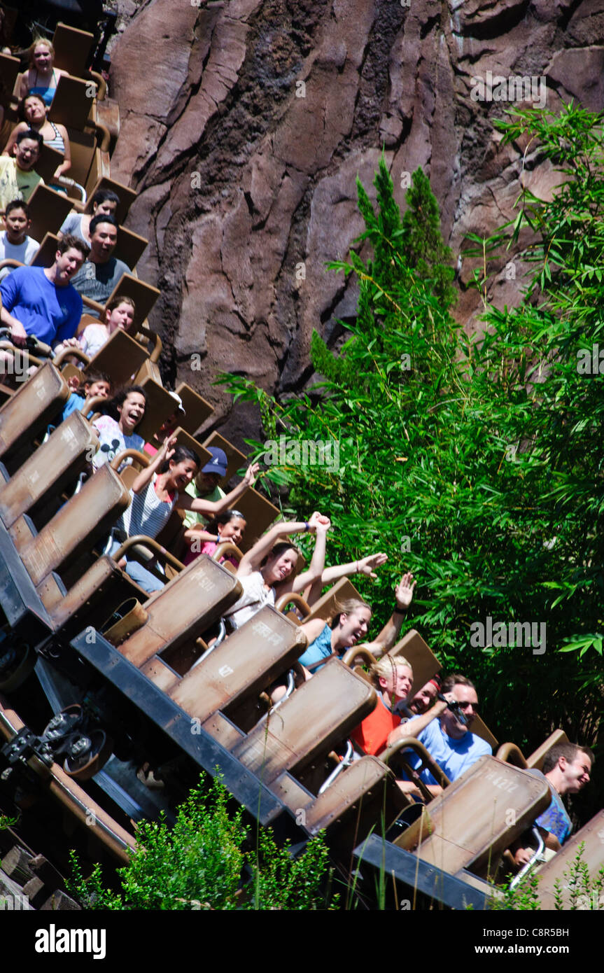 Expedition Everest in the Asia area of Disney's Animal Kingdom theme ...