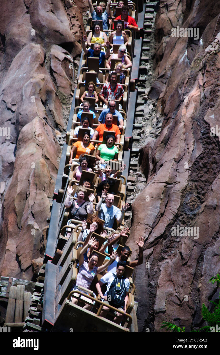 Expedition Everest in the Asia area of Disney's Animal Kingdom theme ...