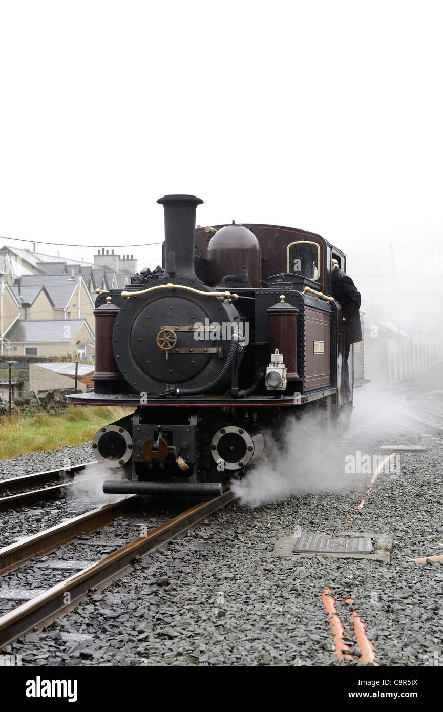 Merddin Emrys Double Fairlie Steam Locomotive Welsh Highland Railway