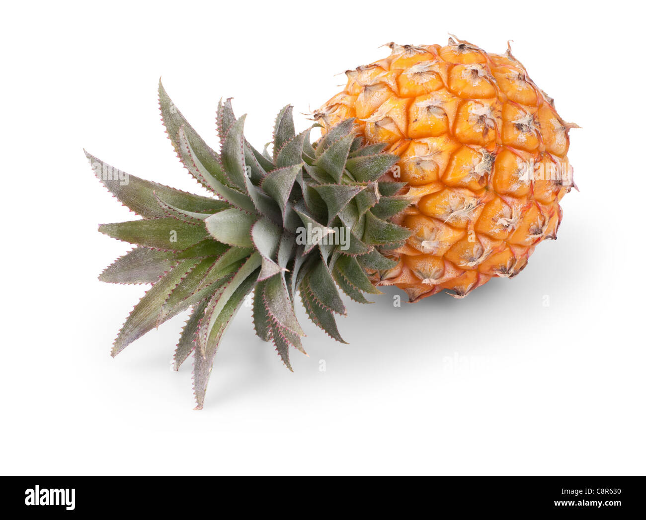 Baby ananas hi-res stock photography and images - Alamy