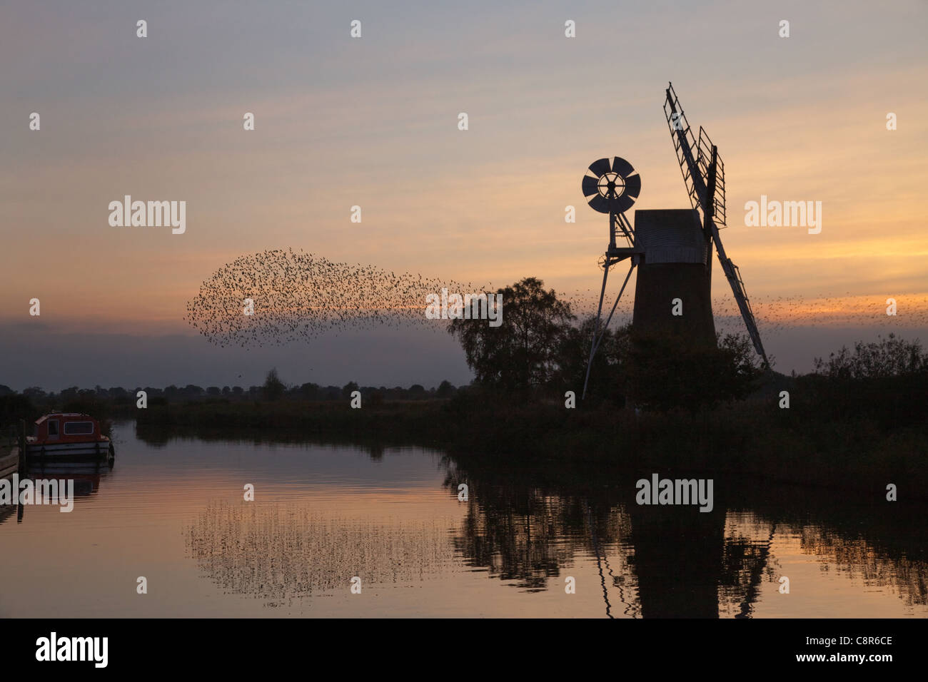 Turf Fen Windmill, Norfolk, at sunset Stock Photo - Alamy