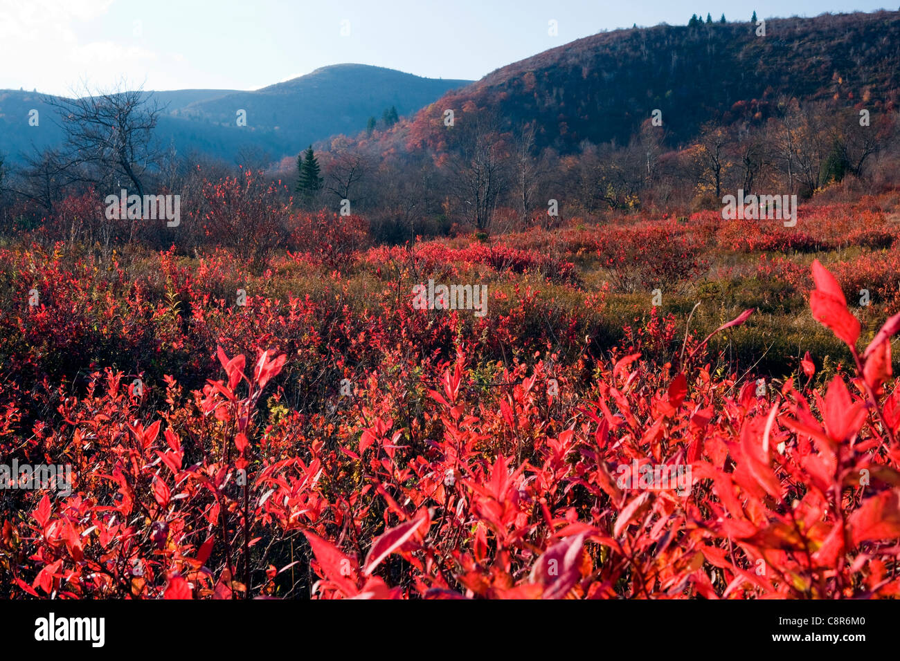 Graveyard Fields - Blue Ridge Parkway - near Asheville, North Carolina ...