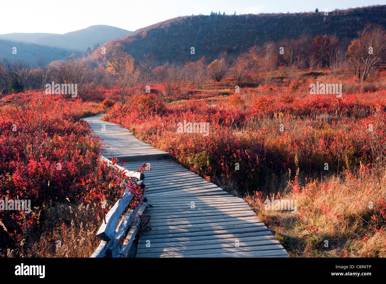 Boardwalk through Graveyard Fields - Blue Ridge Parkway - near ...