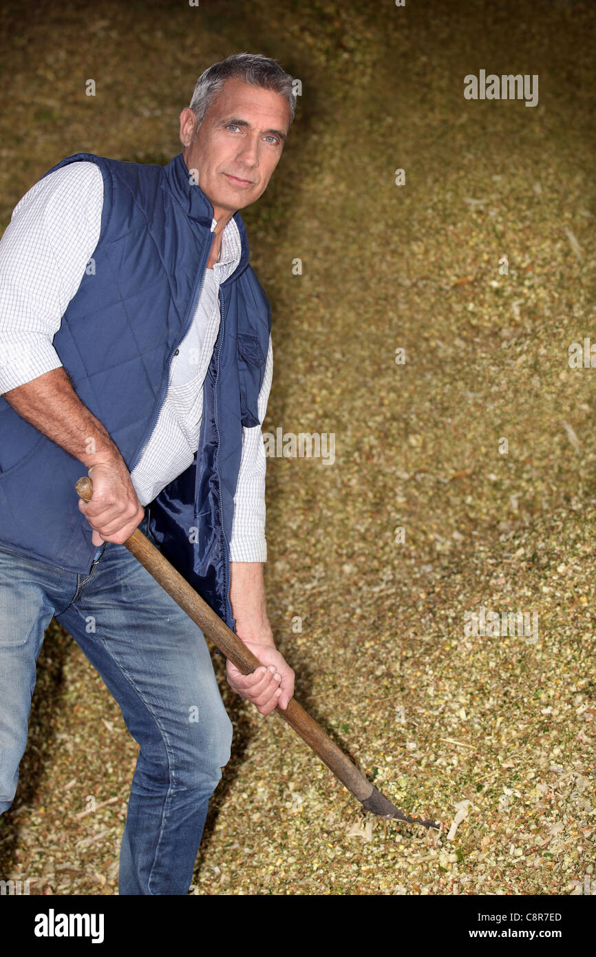 Man working in a barn Stock Photo - Alamy