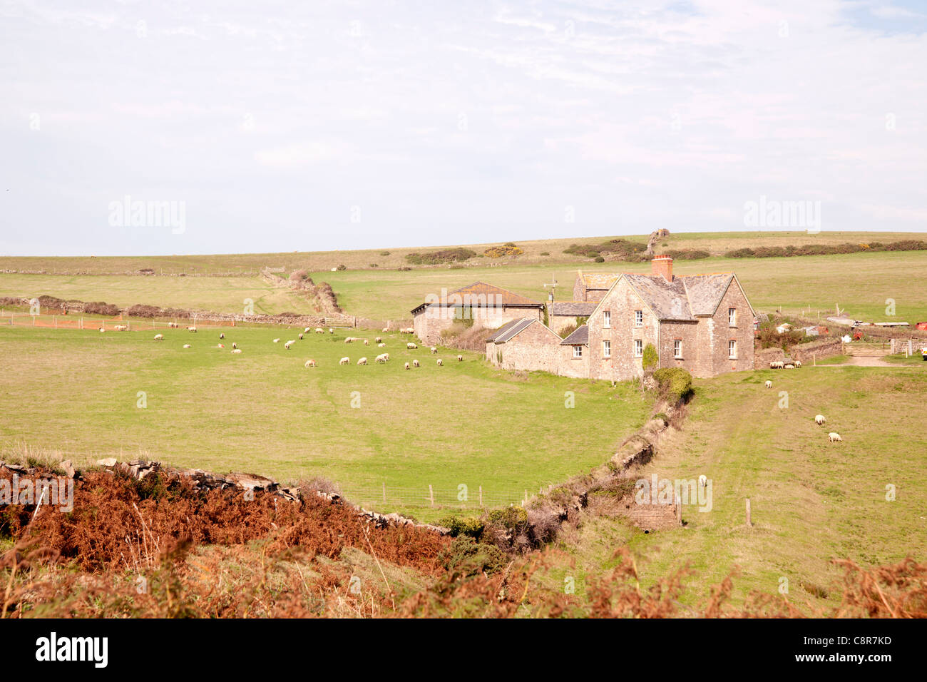 Devon farm house hi-res stock photography and images - Alamy