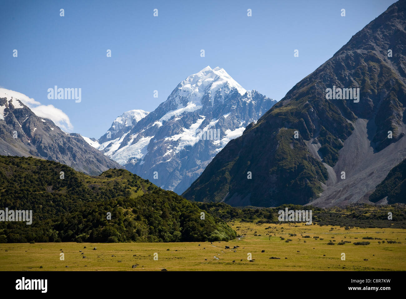 View of Mount Cook, New Zealand Stock Photo - Alamy