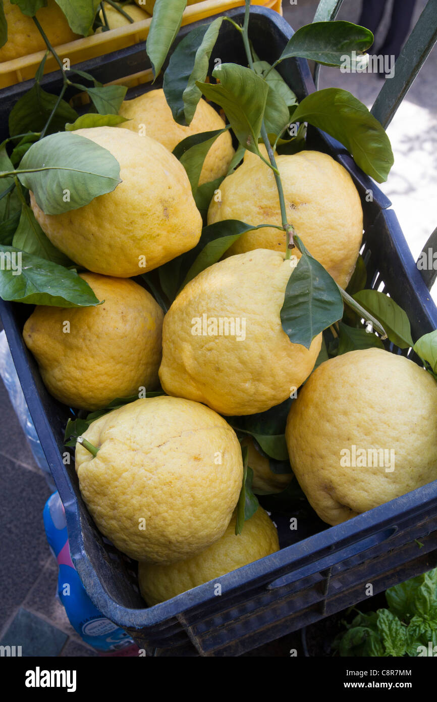 Lemons Positano "Amalfi coast" Amalfi Stock Photo - Alamy