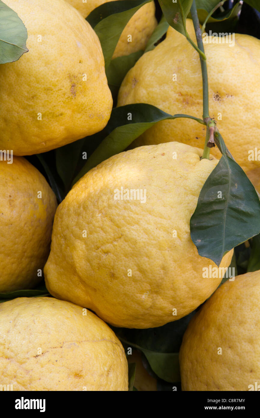 Lemon positano hi-res stock photography and images - Alamy