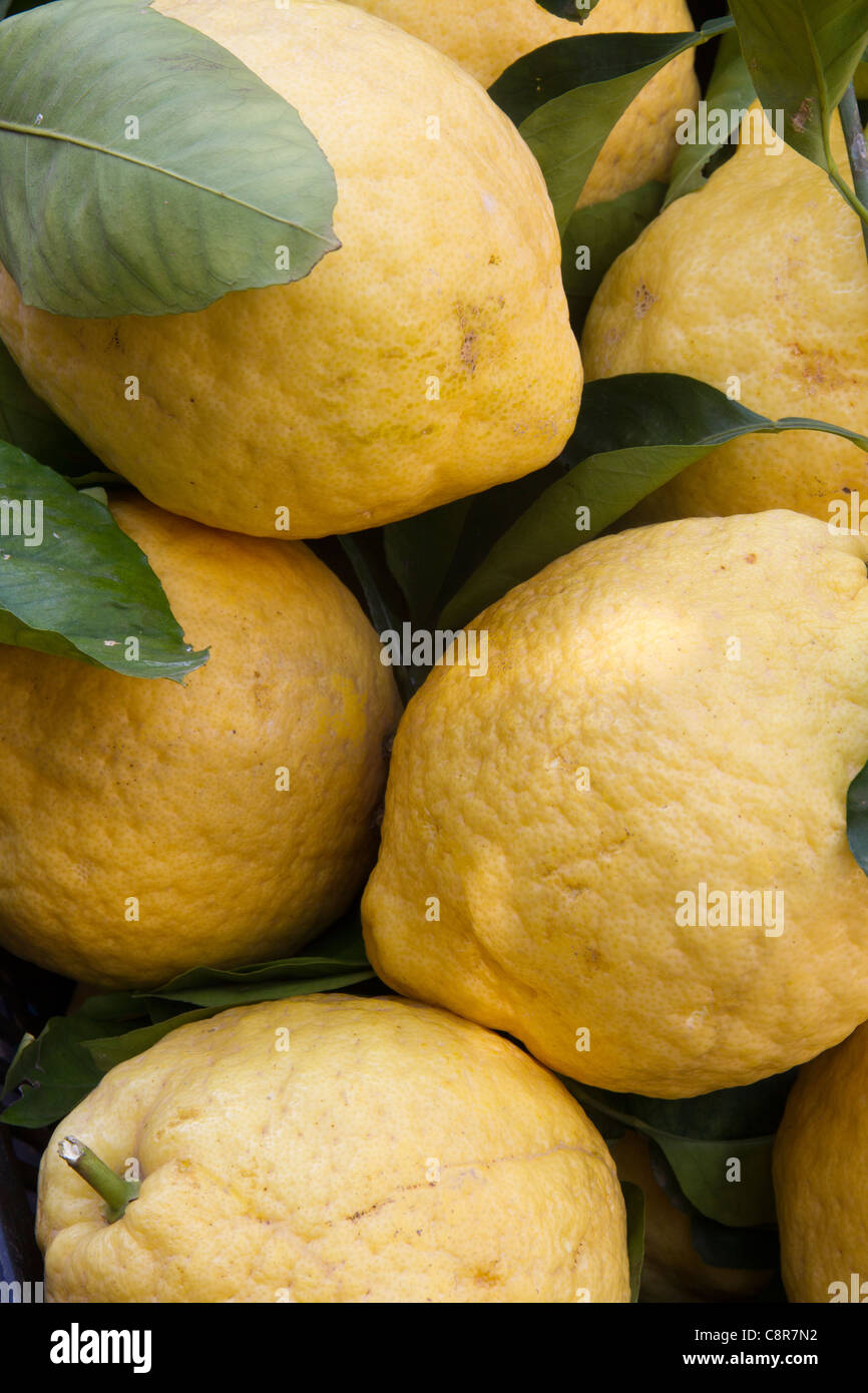 Lemons Positano "Amalfi coast" Amalfi Stock Photo - Alamy