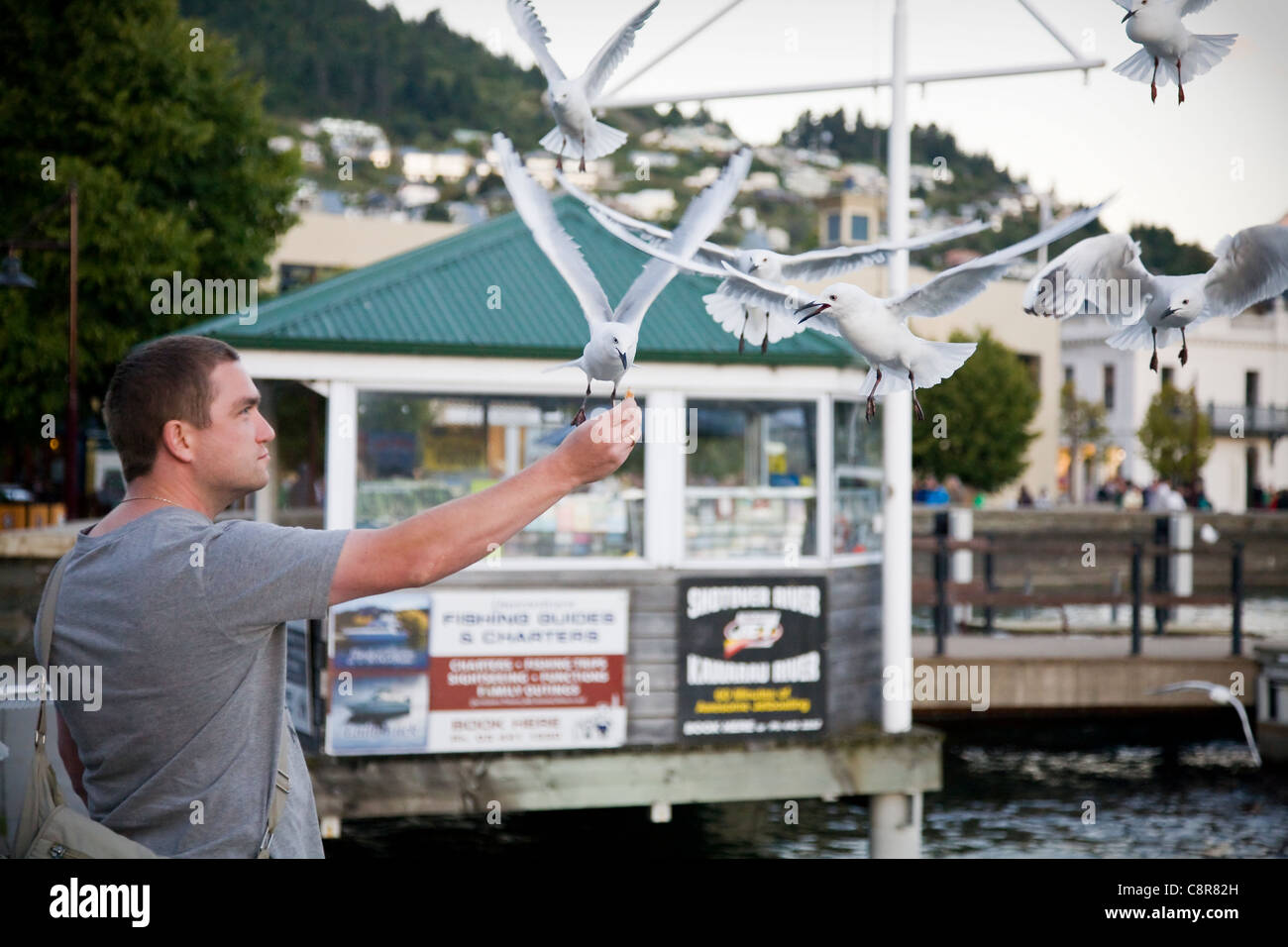 Man feeding seagulls hi-res stock photography and images - Alamy