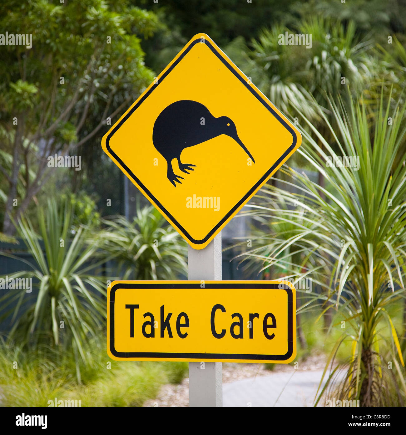 Beware kiwi sign, New Zealand Stock Photo - Alamy