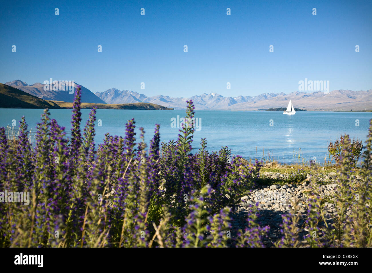Lake tekapo new zealand hi-res stock photography and images - Alamy