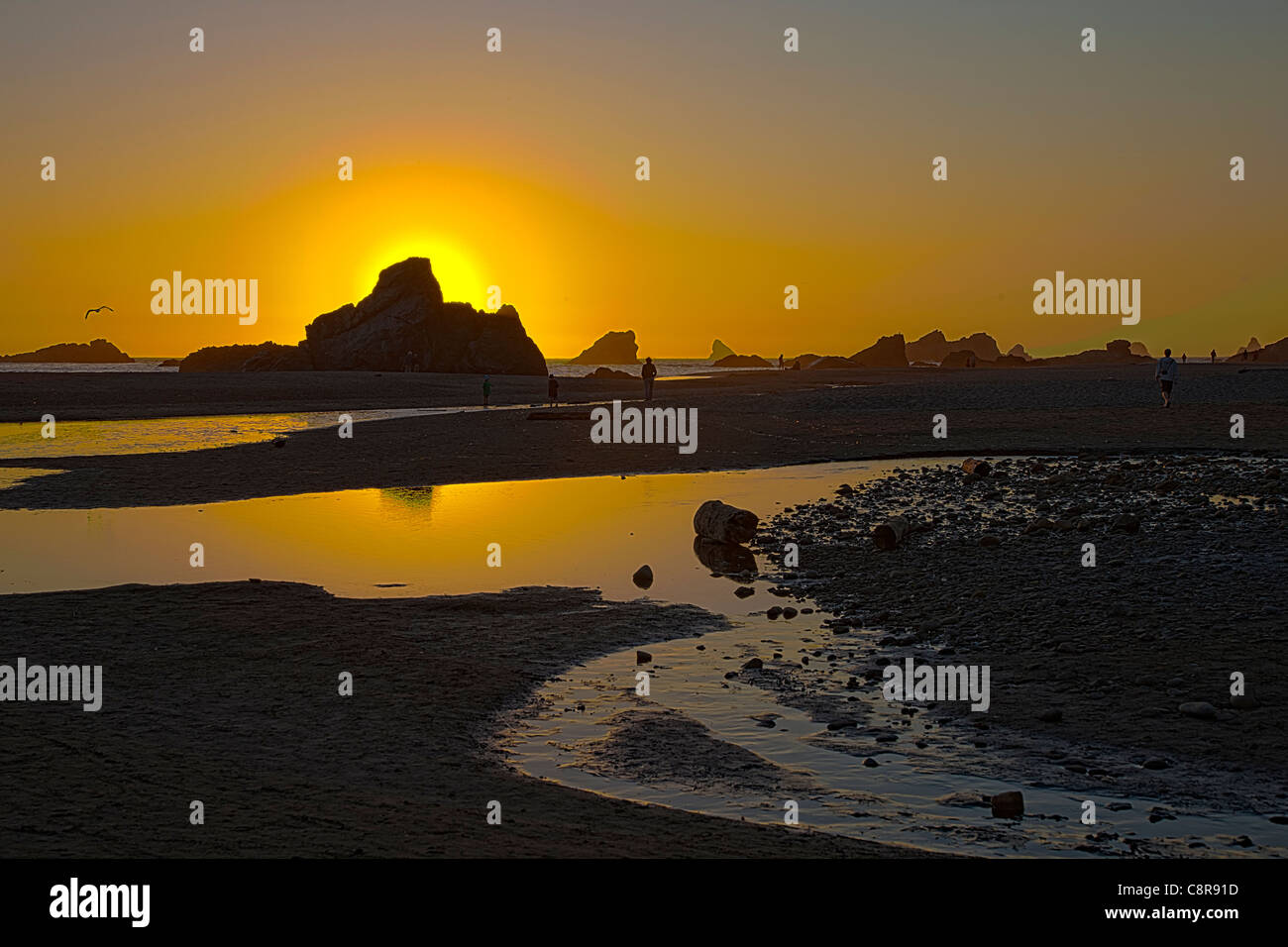 Harris beach state park hi-res stock photography and images - Alamy